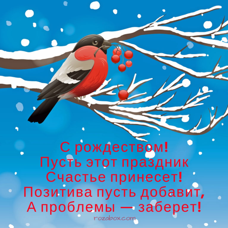 Счастливого рождества - стильные открытки - RozaBox.com